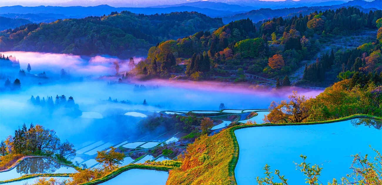 新潟縣導覽 | 好運日本行