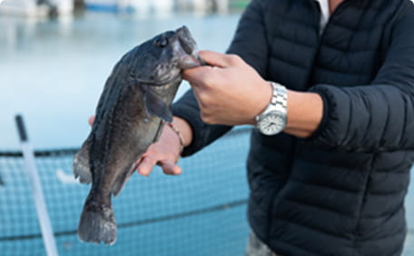 Unique Experience in Kansai | GOOD LUCK TRIP JAPAN